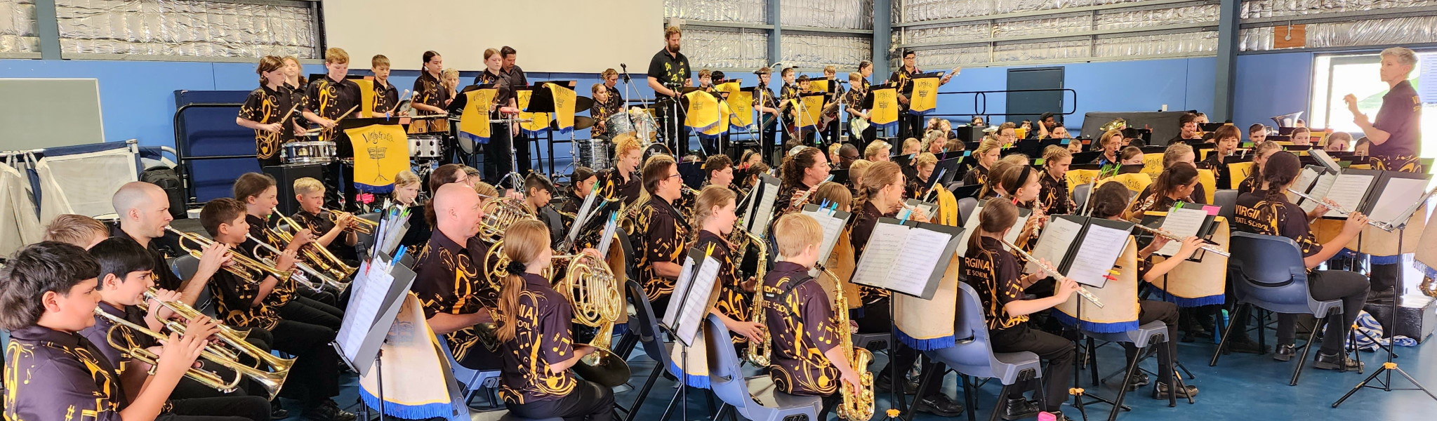 Virginia State School